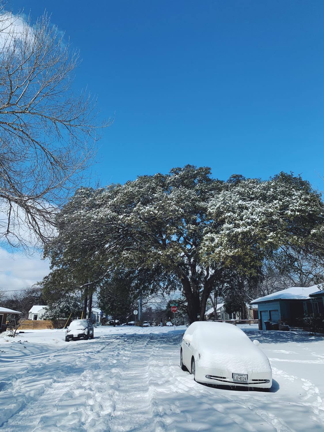 Documenting the Texas Winter Storm - Images from the UT Community - Not ...