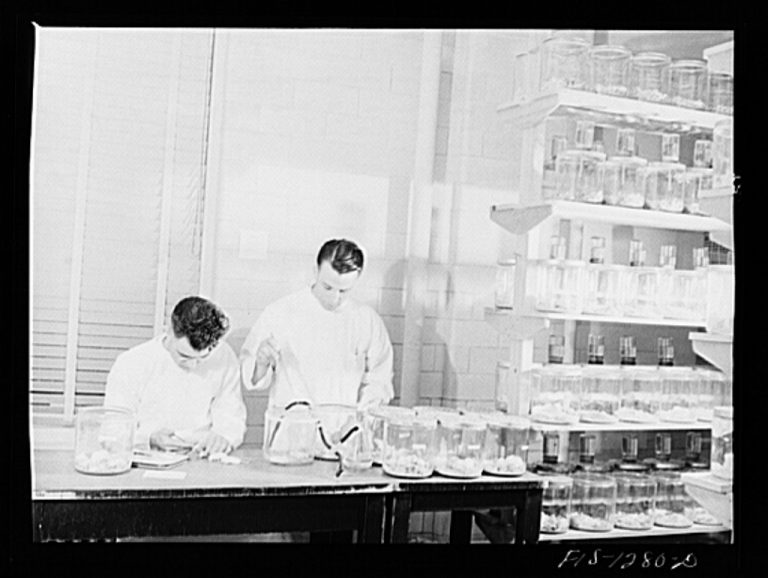 Subjected to Science: Human Experimentation in America before the ...