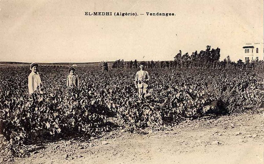 Review of Resurrecting the Granary of Rome: Environmental History and ...